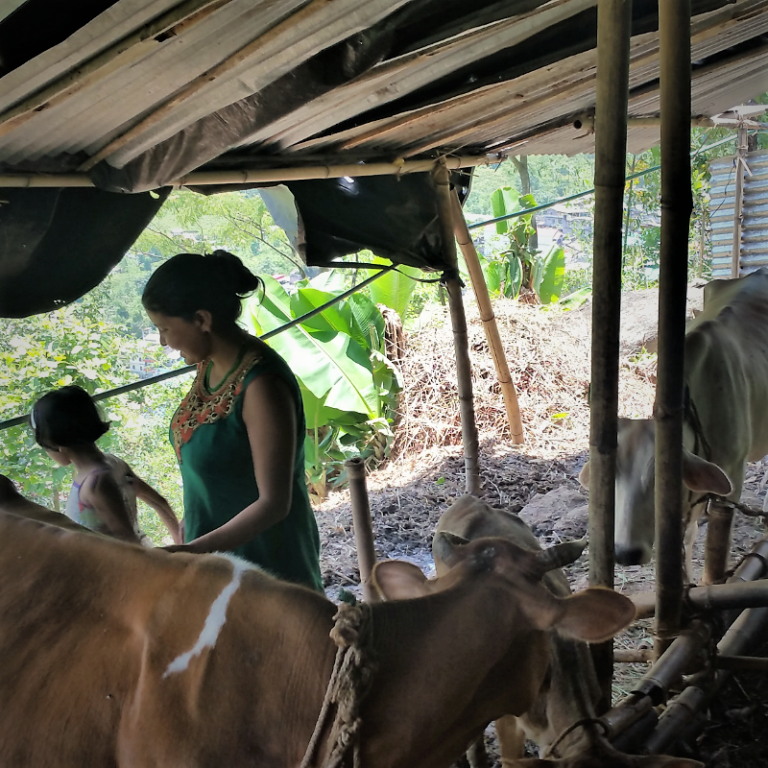 Women in Darjeeling: Empowered, are we? - The Darjeeling Chronicle