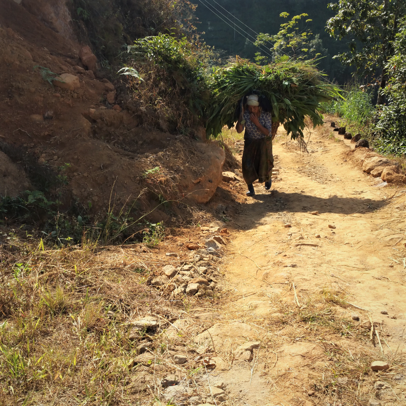 Women in Darjeeling: Empowered, are we? - The Darjeeling Chronicle