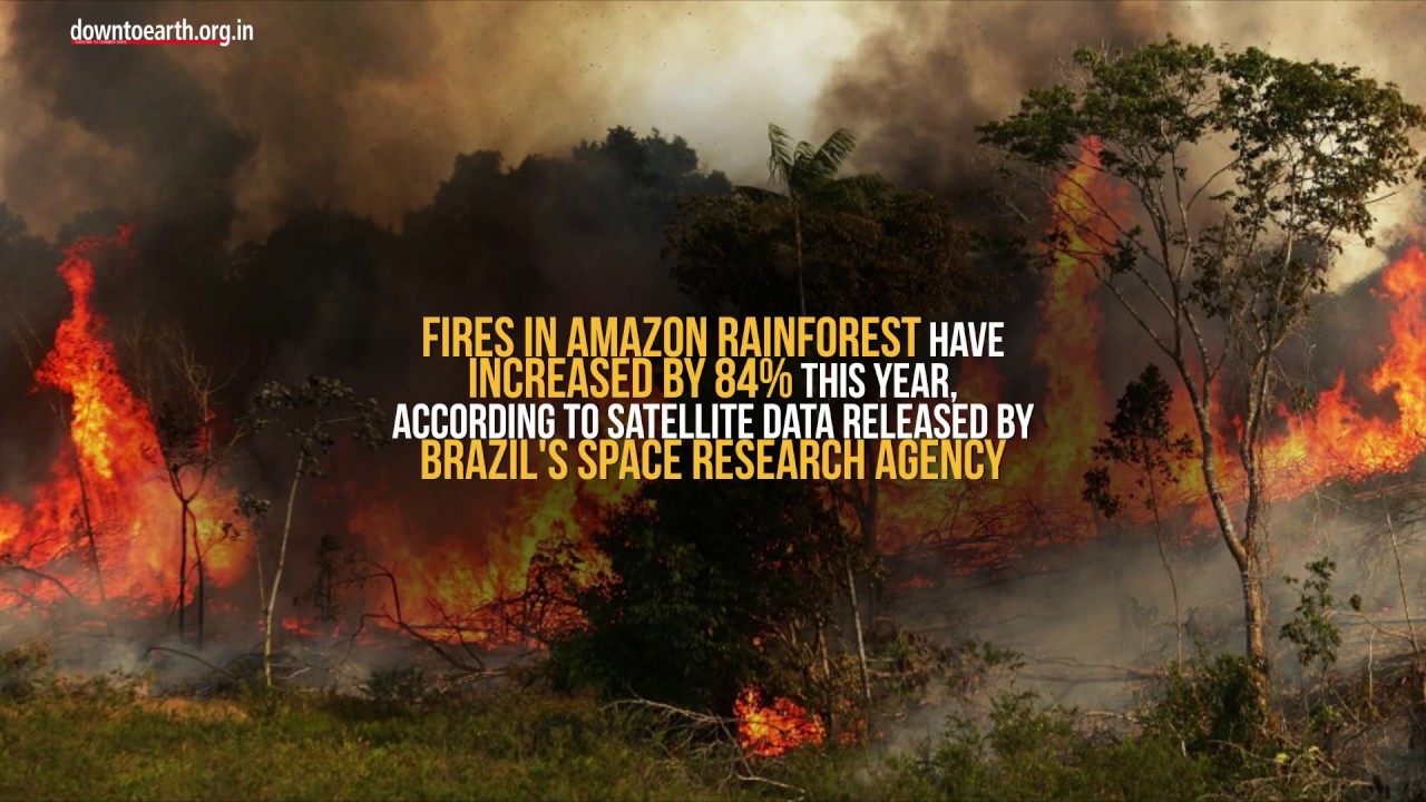 Amazon Forest Fire: Perceiving ecological fragility of Darjeeling Himalayas