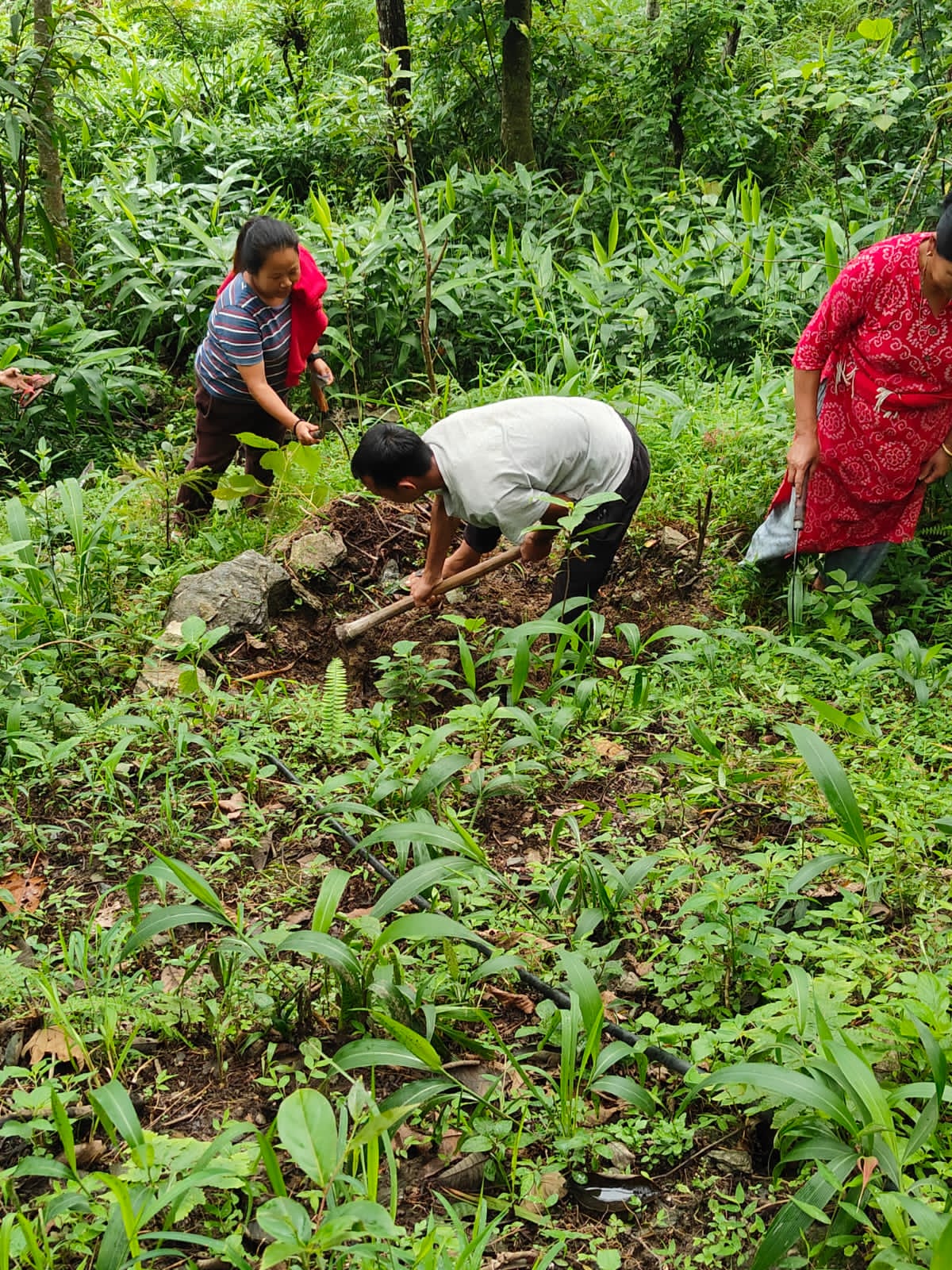 Water Security - Kolbong, located in remote Darjeeling Himalaya, leads ...